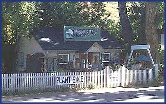 Morrison Library | Morrison History